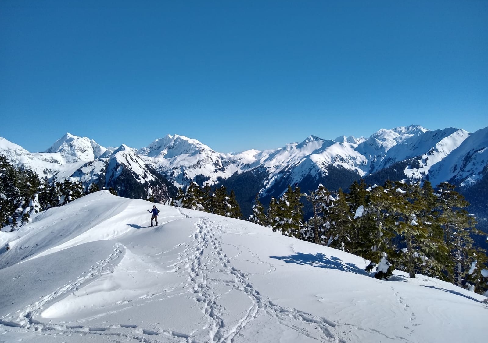 Play in the Snow - Visit Sitka