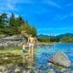 FAQ: What Can I Do in Sitka This Summer? - Visit Sitka