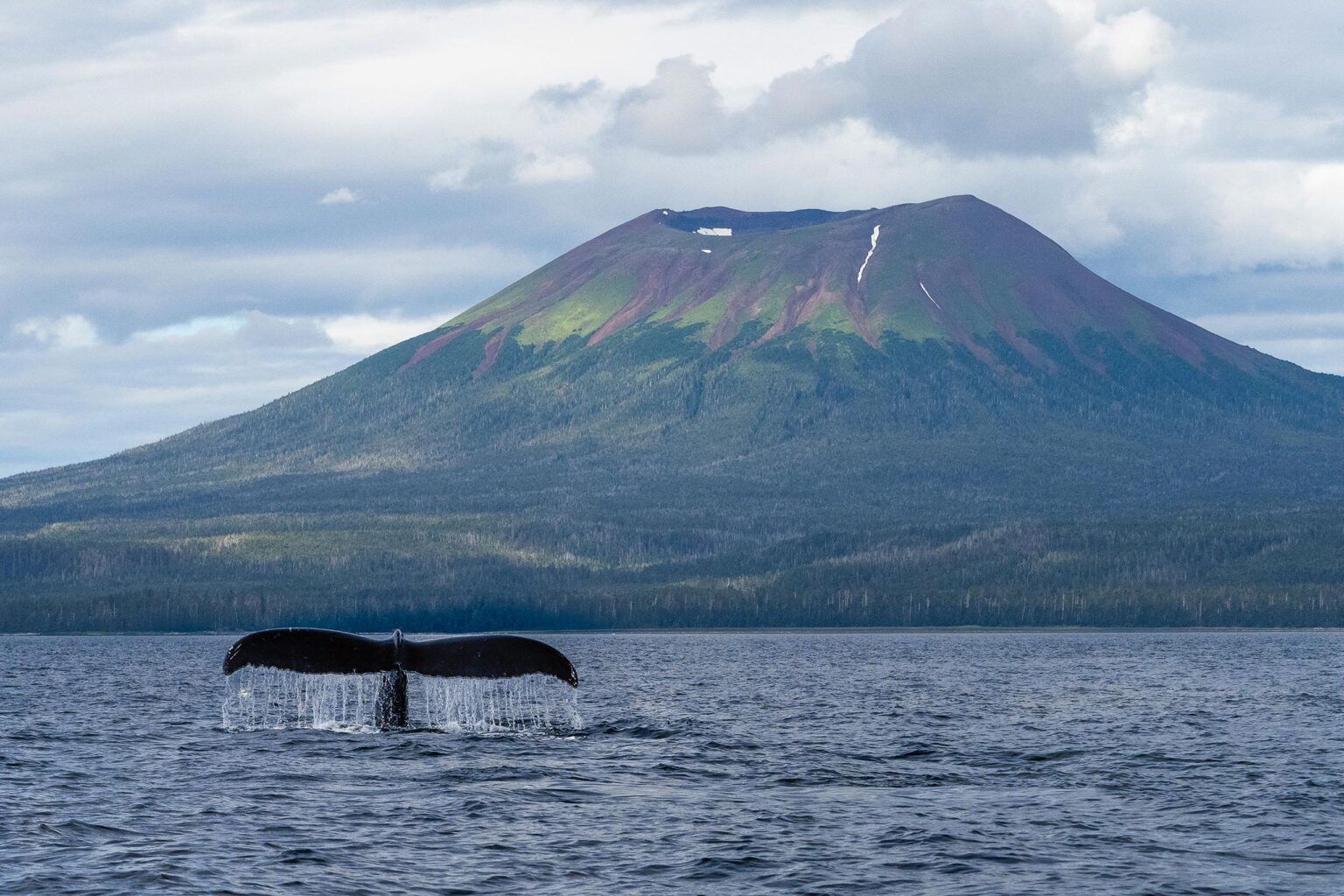 Photo Gallery - Visit Sitka