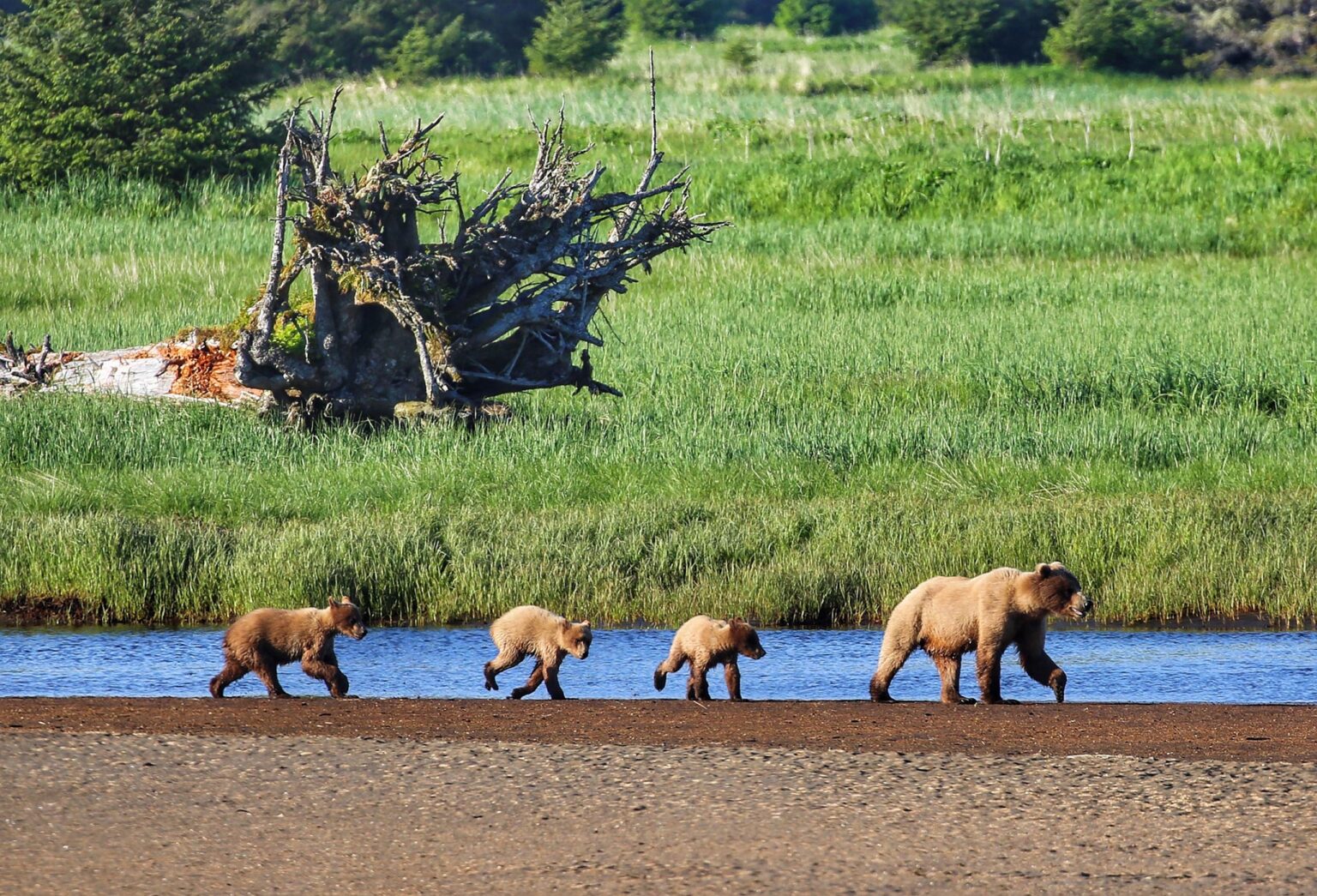 Photo Gallery - Visit Sitka