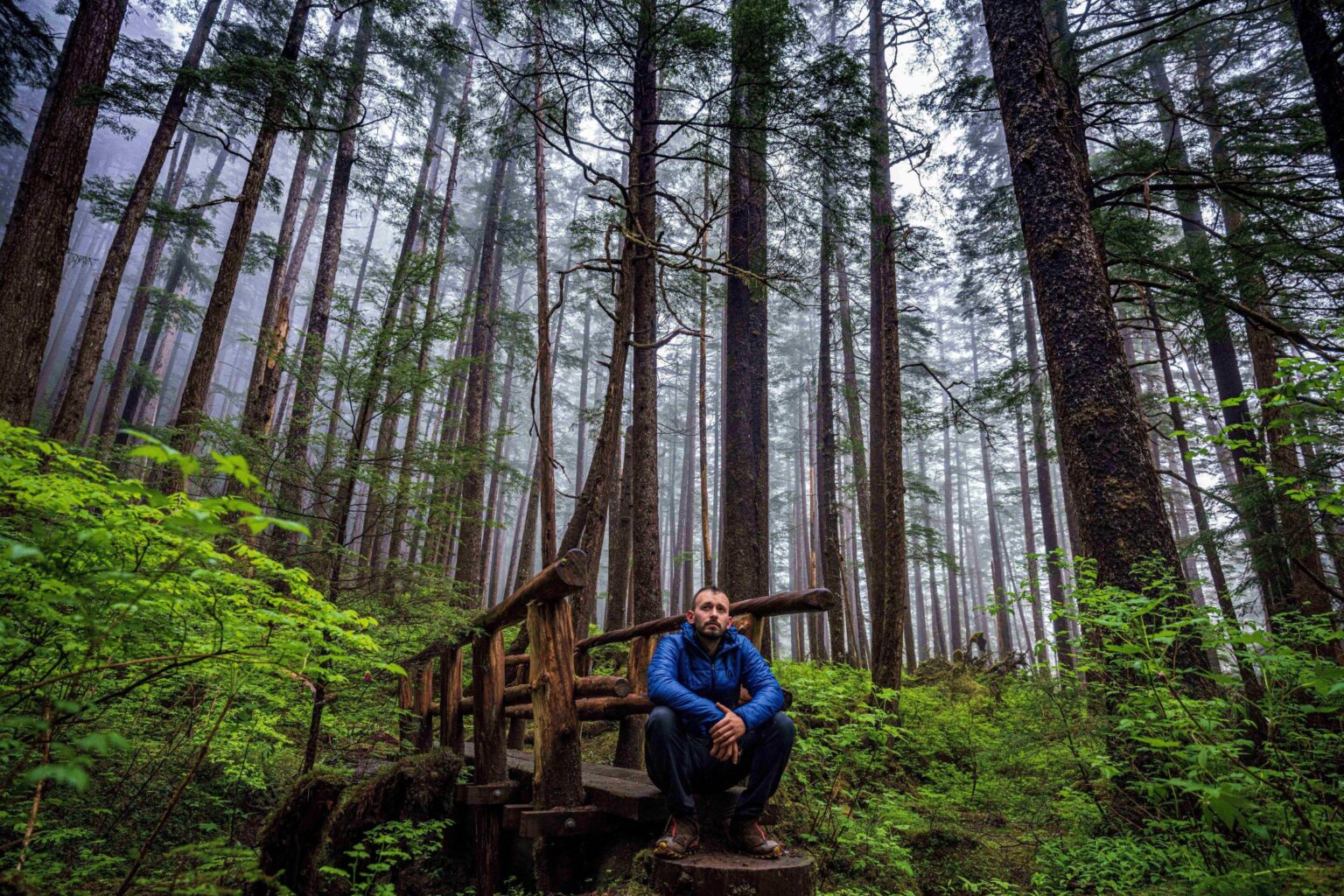 The Essentials for Hiking in Sitka - Visit Sitka