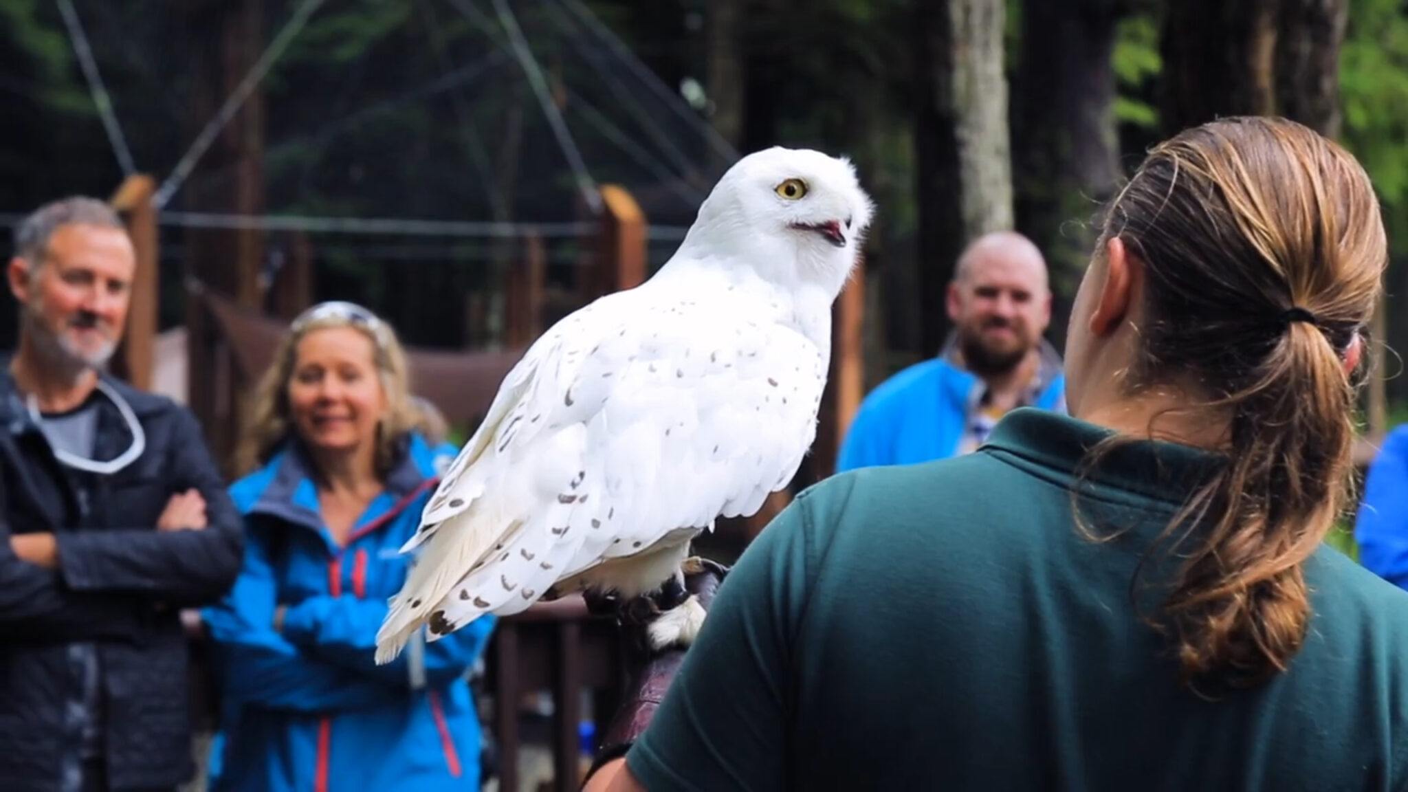 What To Do in Sitka in One Day - Visit Sitka