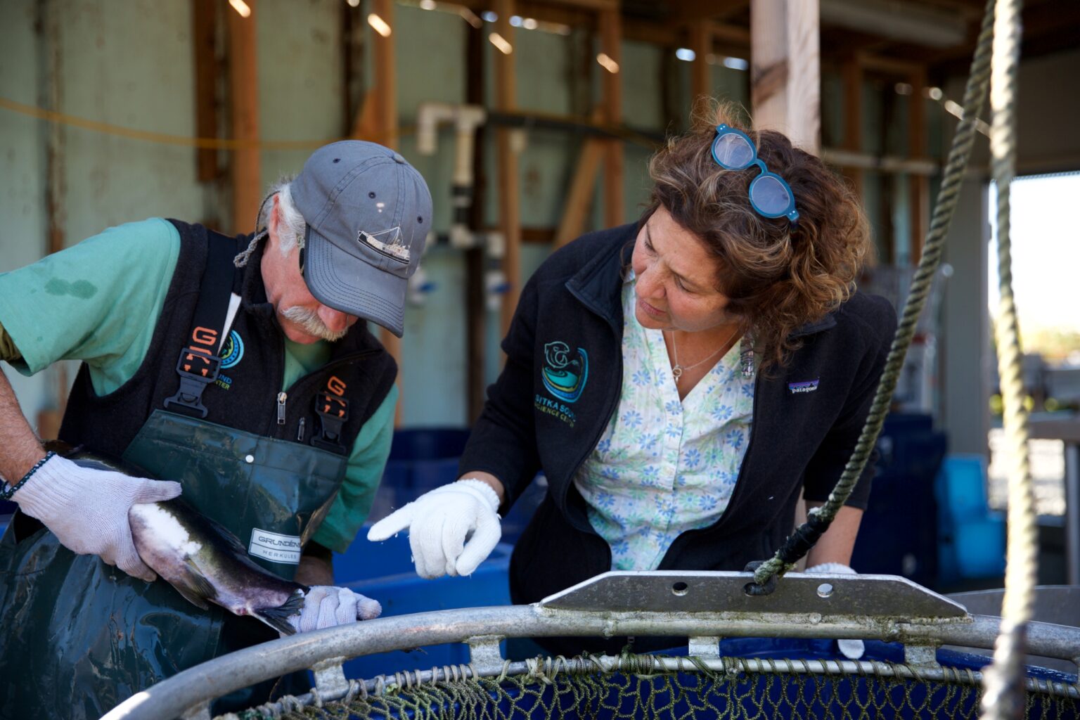 How to View the Pacific Salmon Run in Sitka - Visit Sitka